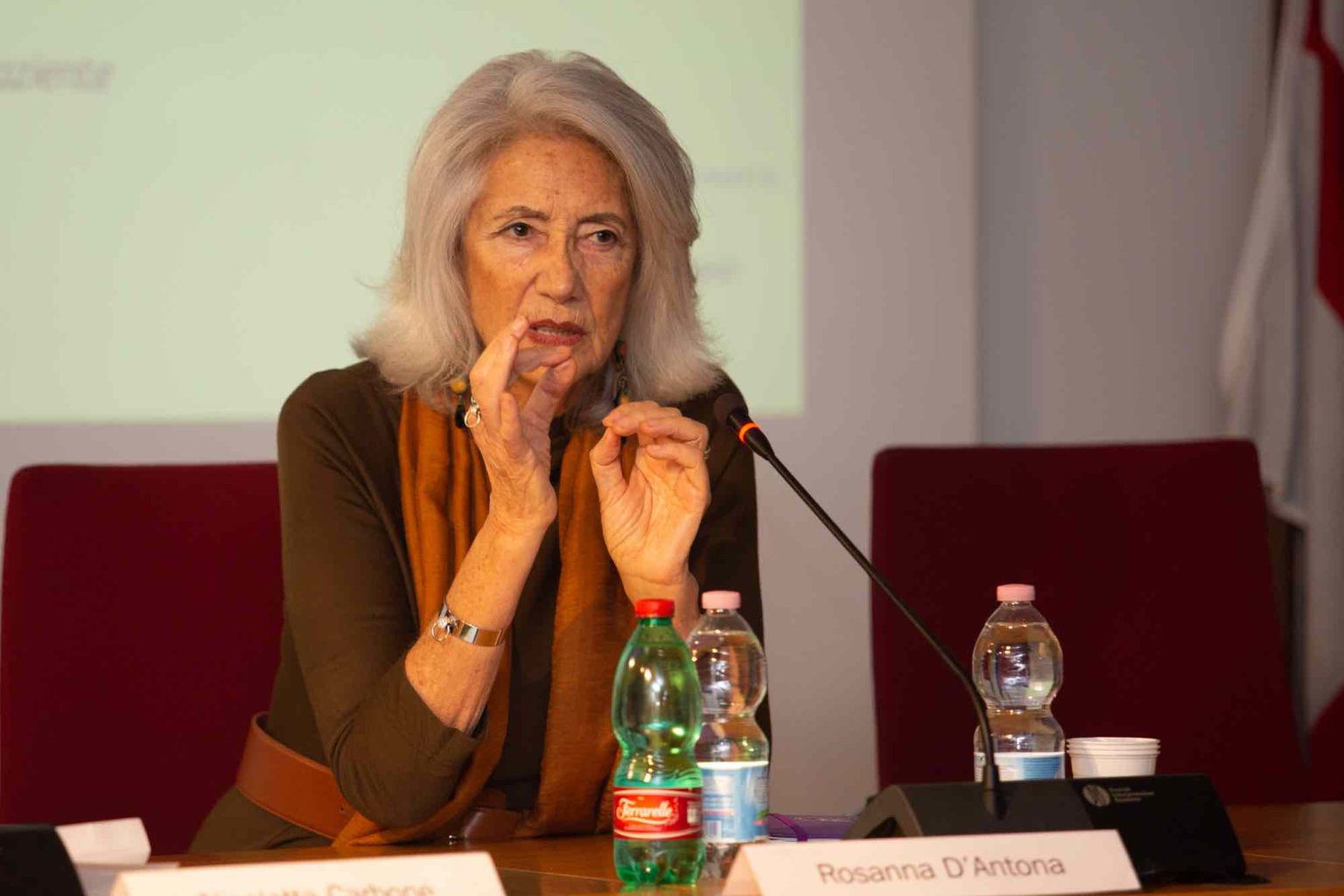 Intervista A Rosanna D Antona Presidente Europa Donna Italia IL MIRINO